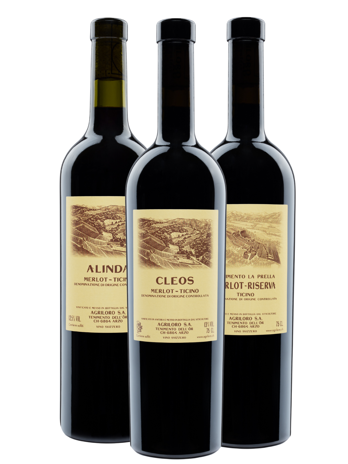 Découverte du merlot - Agriloro SA